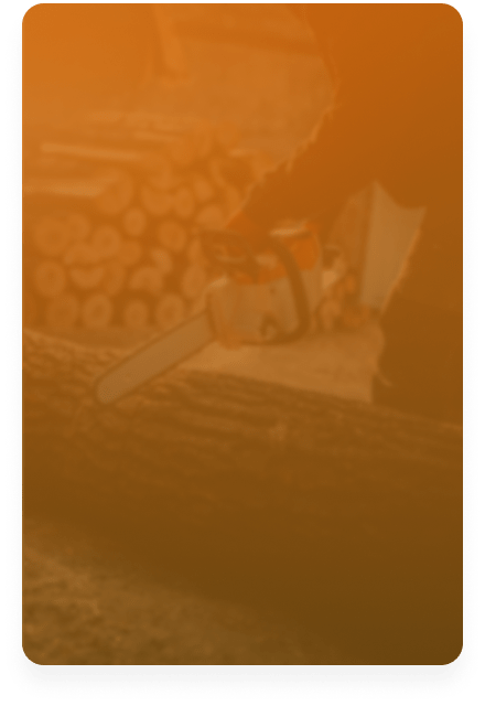 References - Nomentia